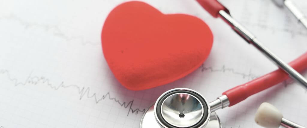 A Veterinarian's Insight into Dog Cardiology: Understanding Heart ...